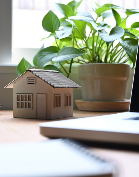 About Crozilla | Crozilla.com